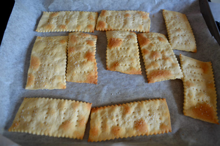 Crackers fatti in casa - Ilaria Zizza
